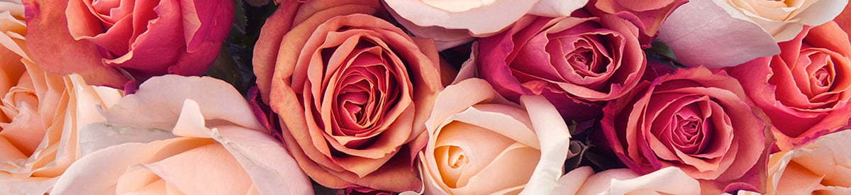 Types of Flowers, 60 Different Kinds of Common Flowers | Petal Talk