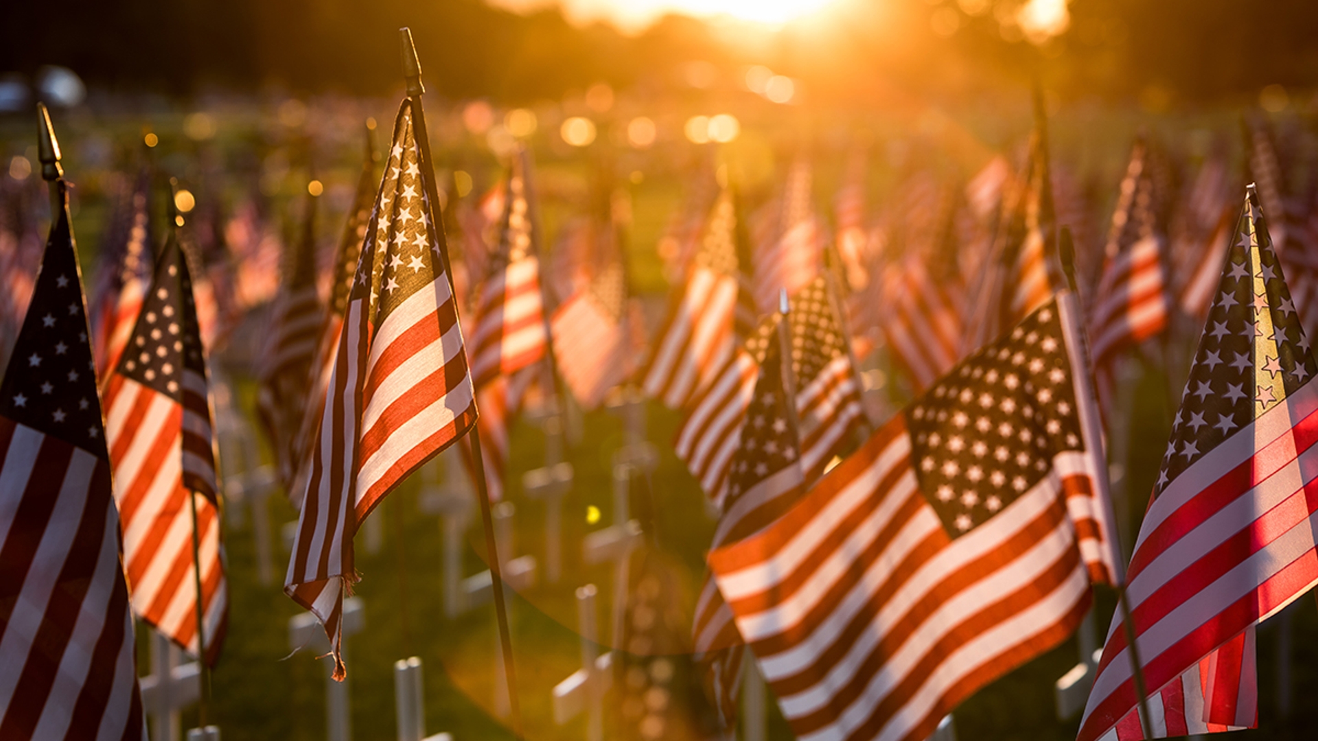 Memorial Day History & Floral Traditions | Petal Talk