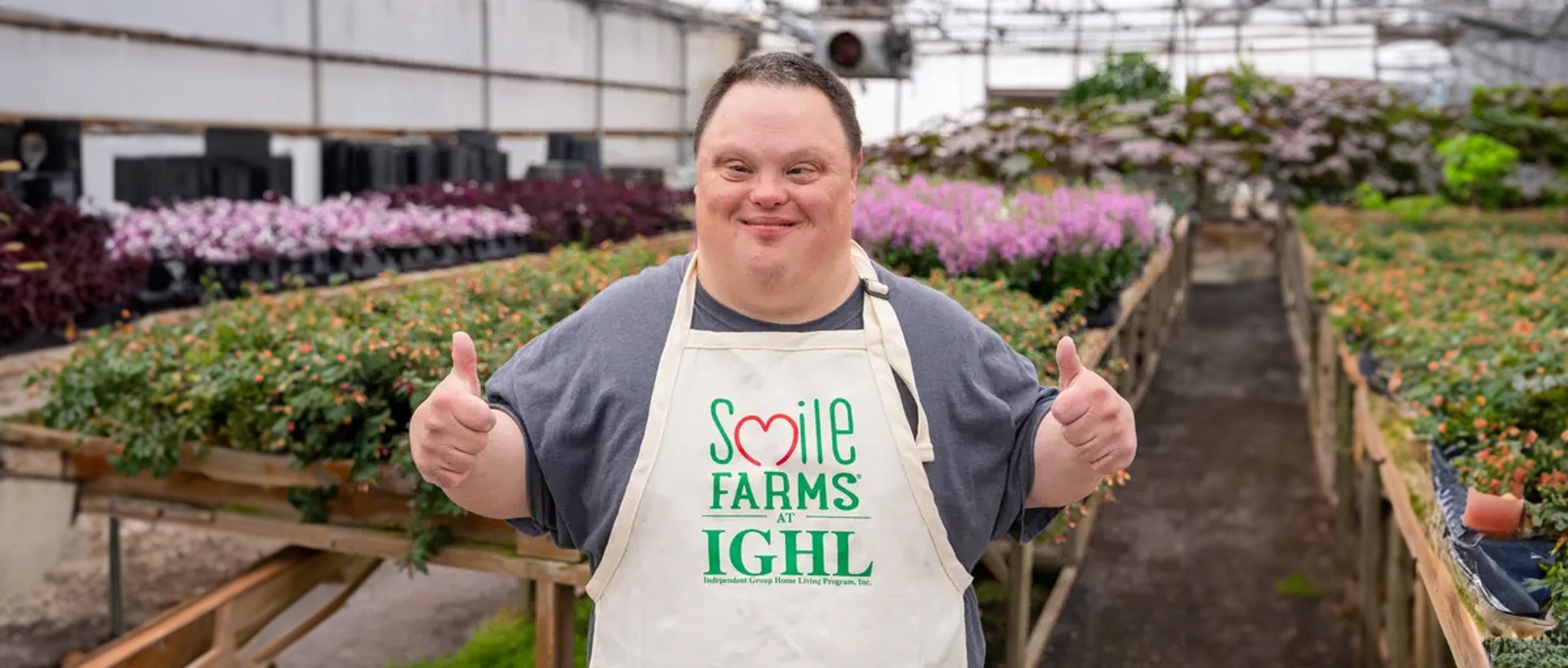 Hypoallergenic Flowers for People with Allergies | Petal Talk