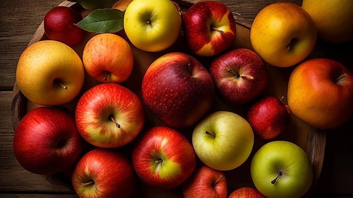 Types of Apples and Apple Facts | The Table by Harry & David