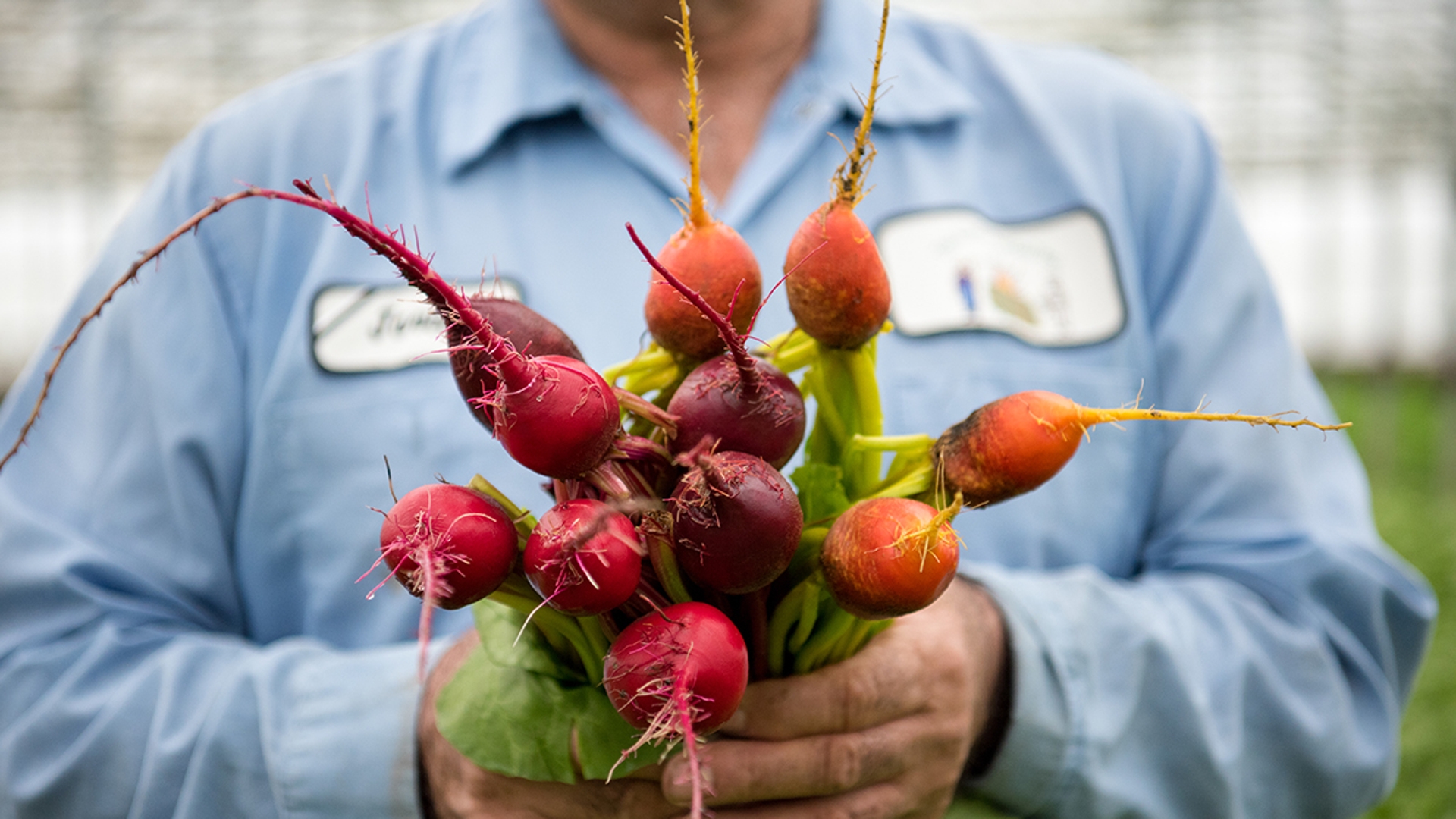 5 Candy Cane Beet Recipes | The Table by Harry & David