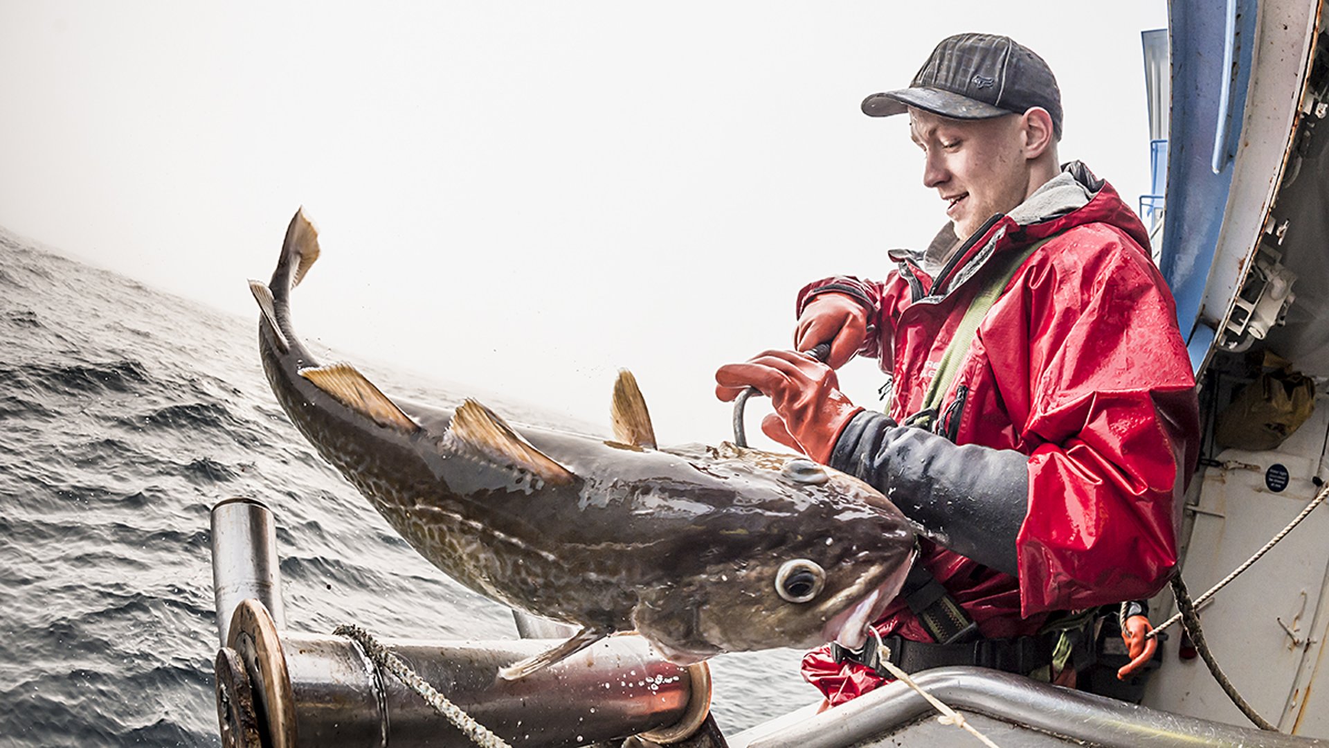 Alaskan Cod Fishing with Bristol Wave Seafoods | Vital Choice