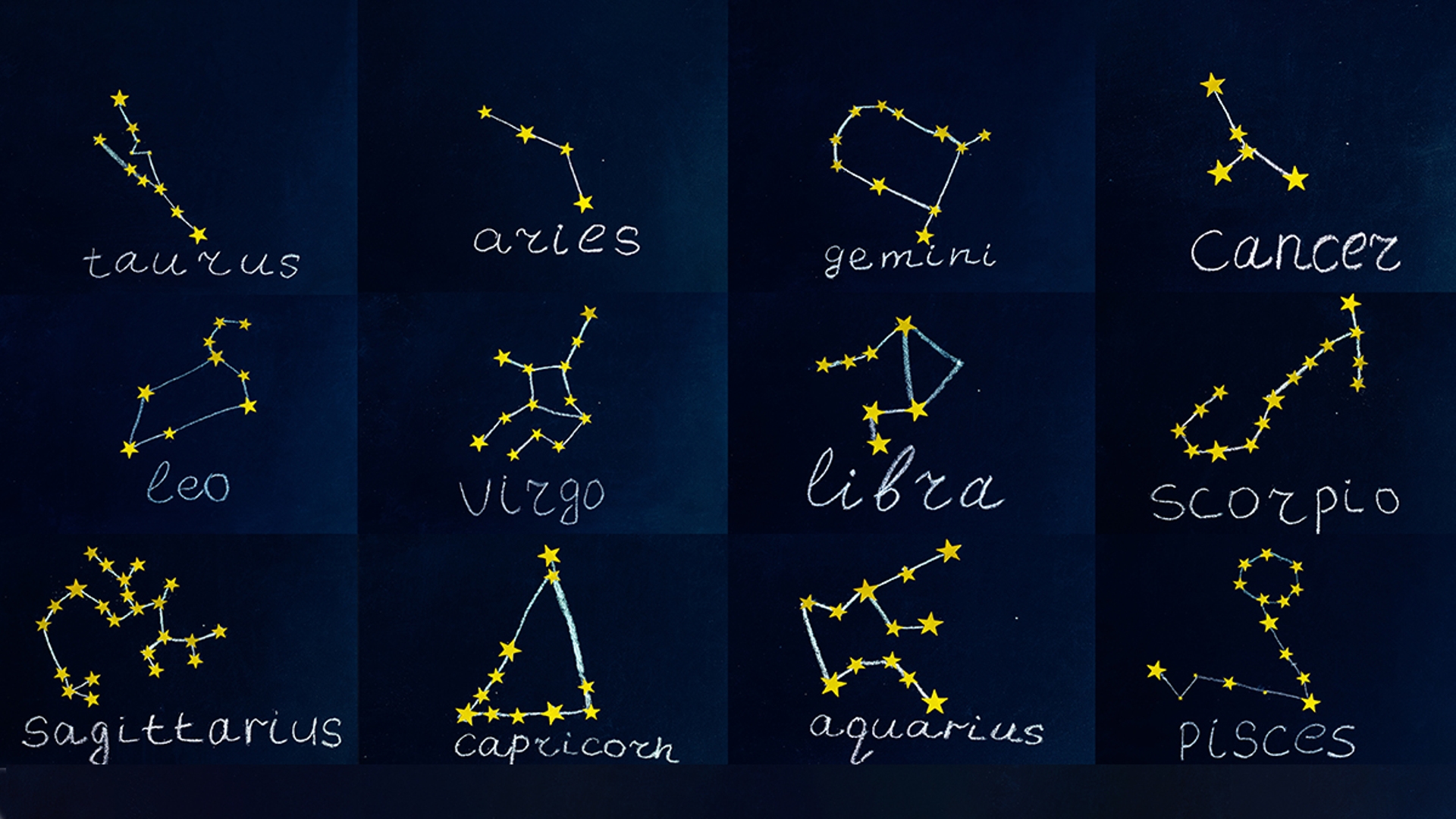 Zodiac Flowers: Which Flower Are You Based on Your Sign? | PetalTalk