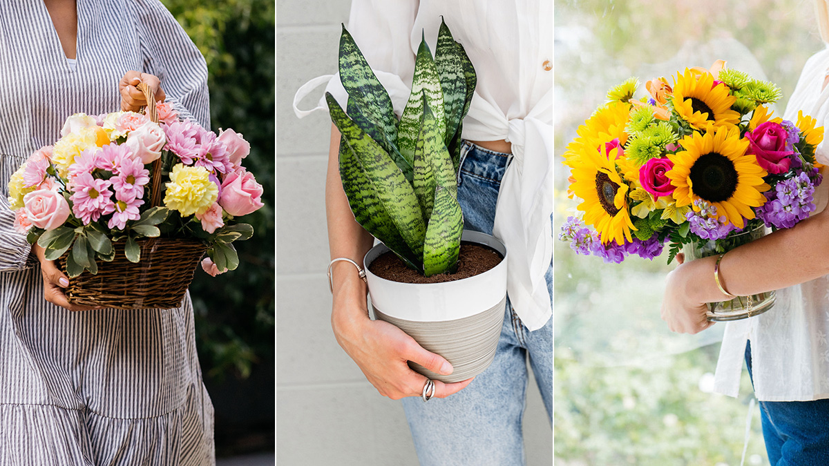 Top 7 Floral Trends for 2024 | Petal Talk