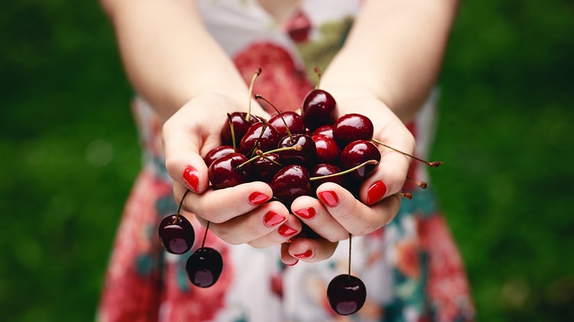 Types of Cherries & Cherry Facts | The Table by Harry & David