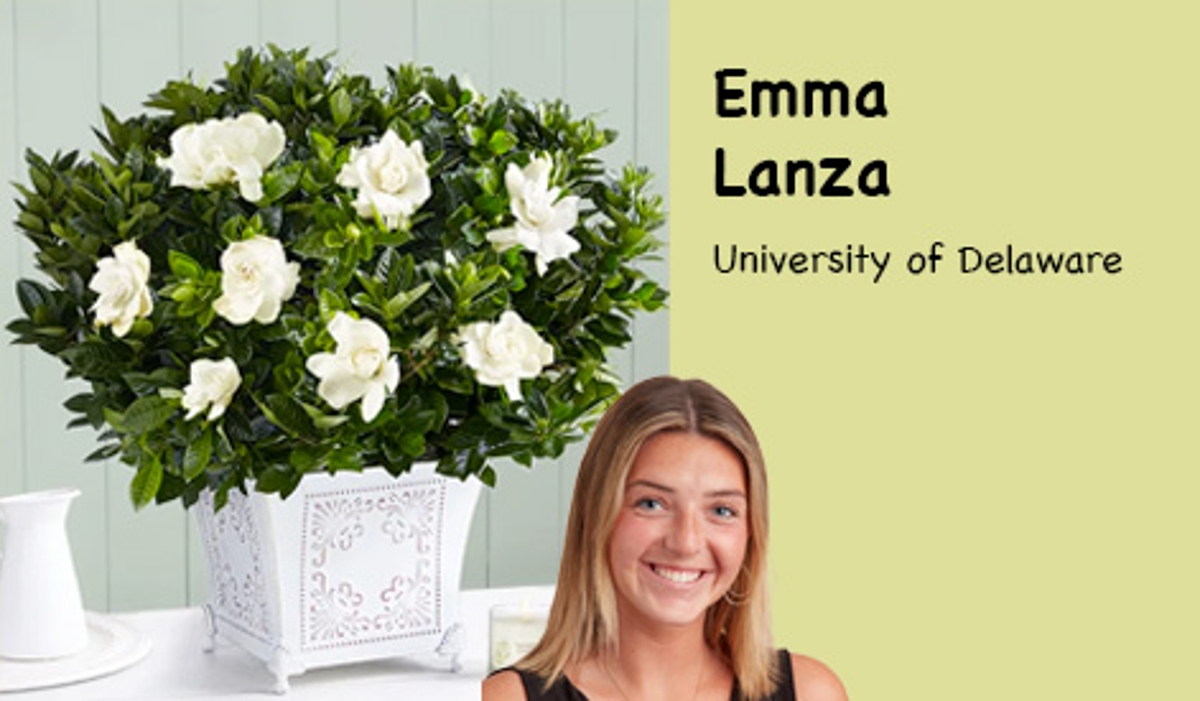 13 Gen Z Gifts & Ideas | The Table by Harry & David