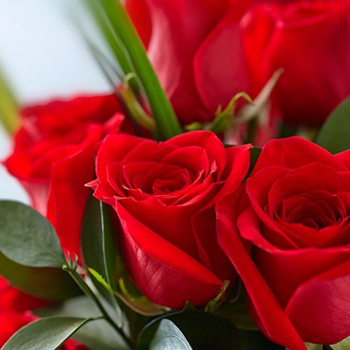 What Your Birth Flower Says About You | Petal Talk