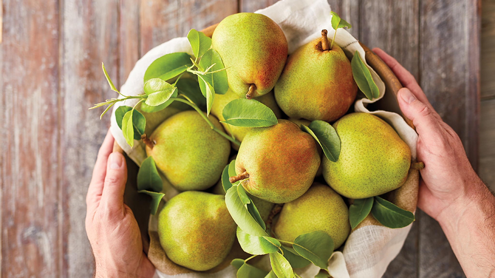 Royal Riviera Pear History | The Table by Harry & David