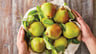 Royal Riviera Pear History | The Table by Harry & David