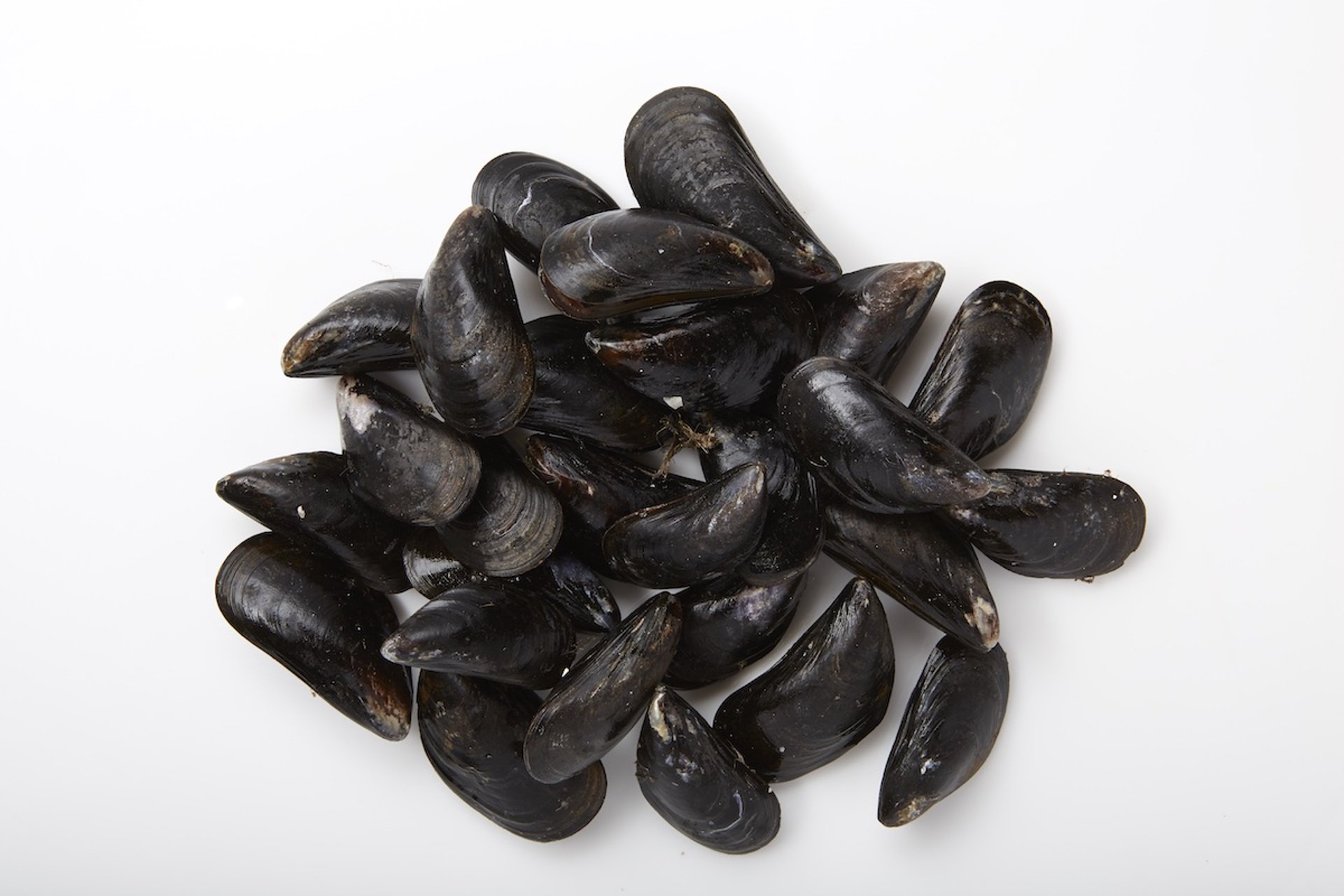 How to Eat Mussels Around the World | Vital Choice