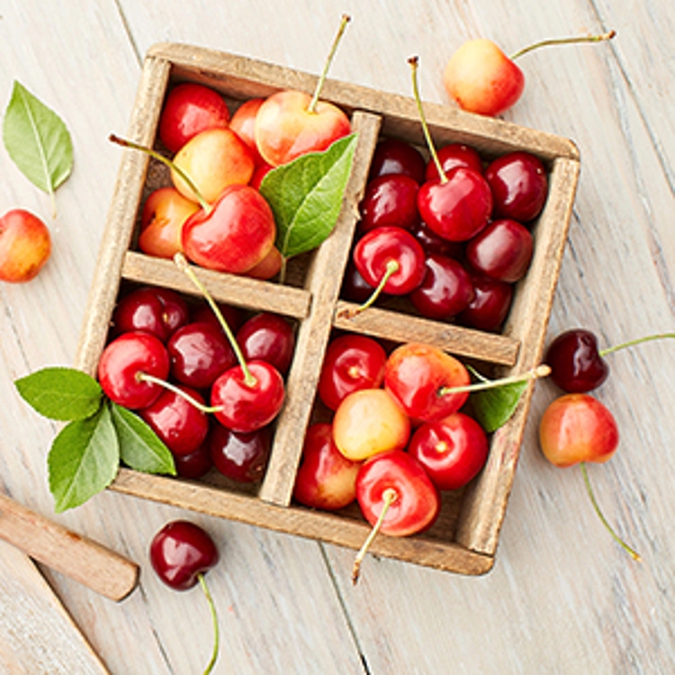Types of Cherries & Cherry Facts | The Table by Harry & David