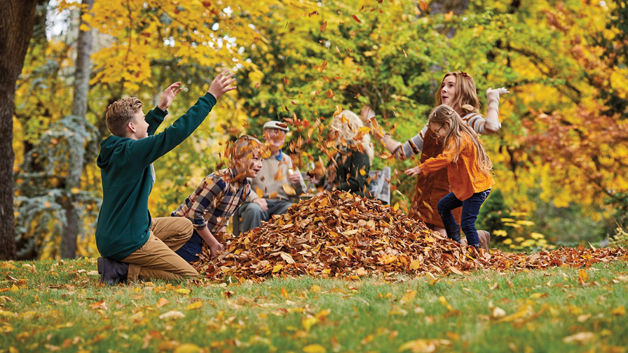 7 Best Places to See Fall Leaves | The Table by Harry & David