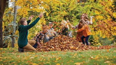 7 Best Places to See Fall Leaves | The Table by Harry & David