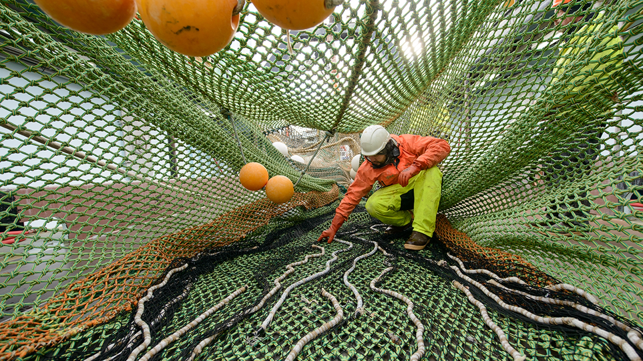 What Is the Marine Stewardship Council? | Vital Choice