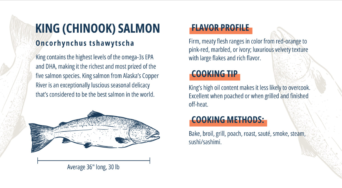 Get to Know the 5 Types of Salmon | Vital Choice