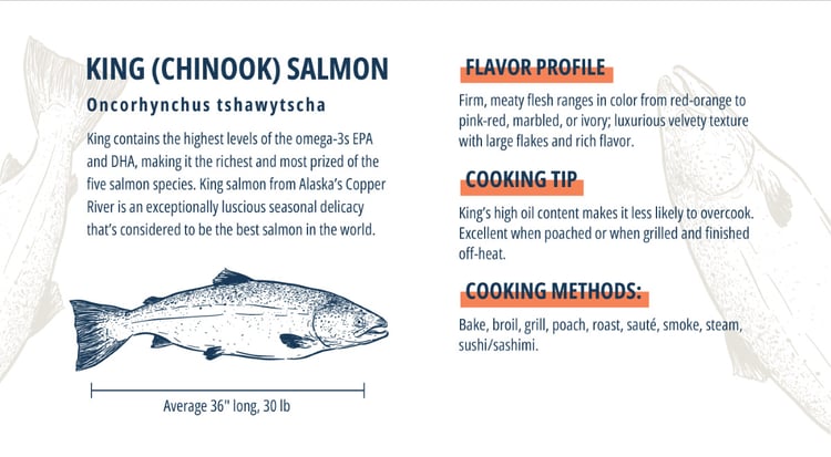 Get to Know the 5 Types of Salmon | Vital Choice