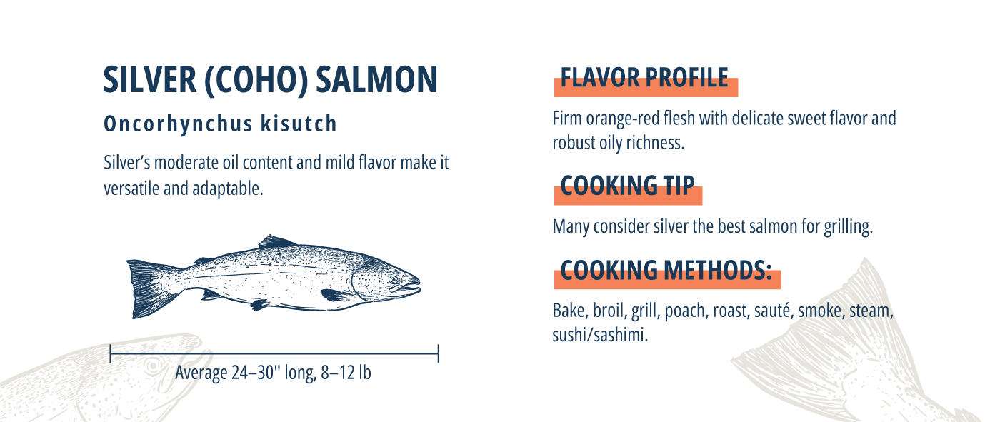 Atlantic Salmon vs Pacific Salmon: What's the Difference? | Vital Choice