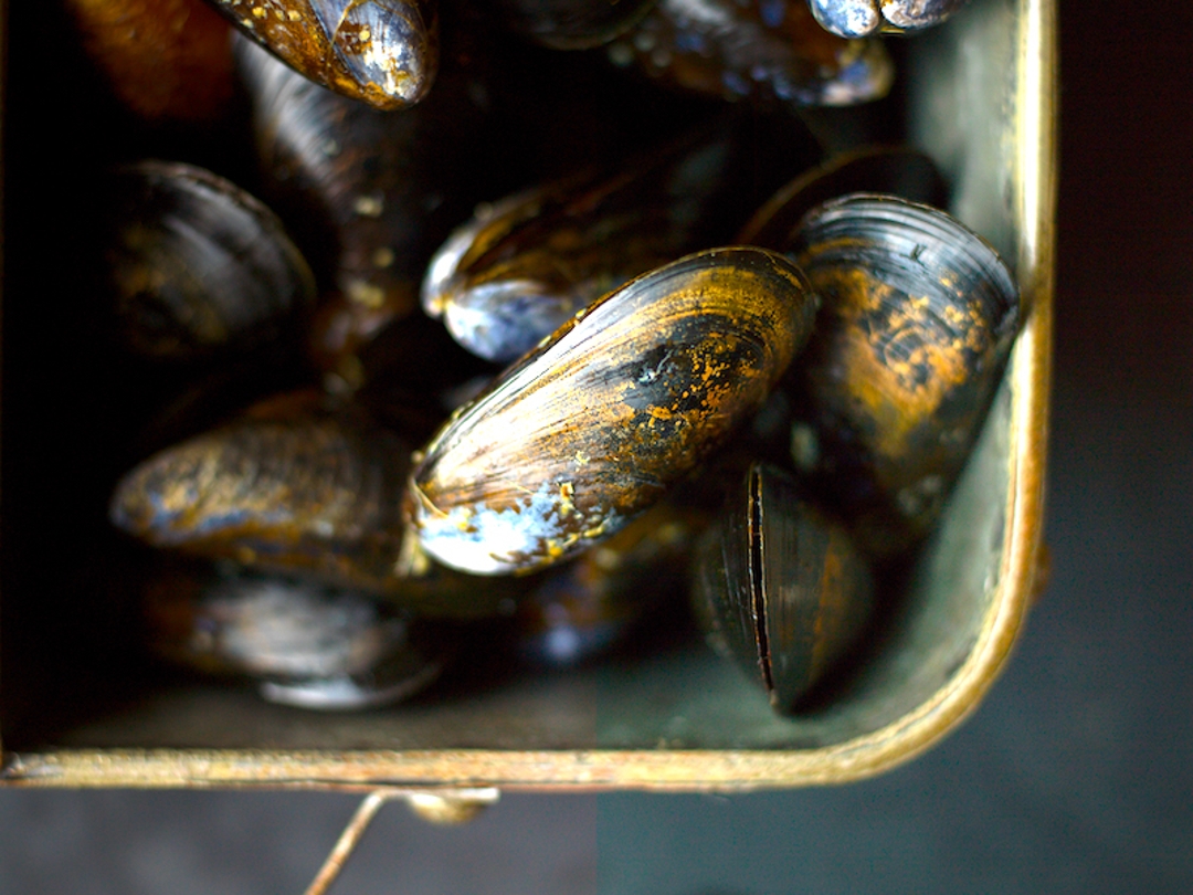How to Eat Mussels Around the World | Vital Choice