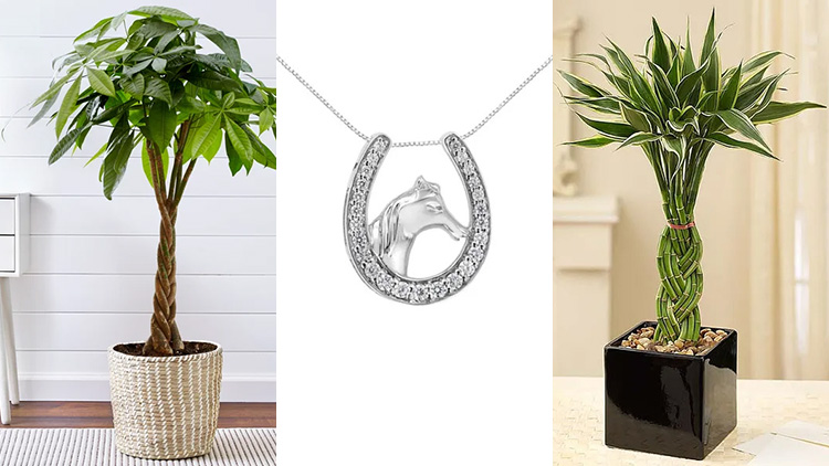 12 Good Luck Gifts & Their Meanings | Petal Talk