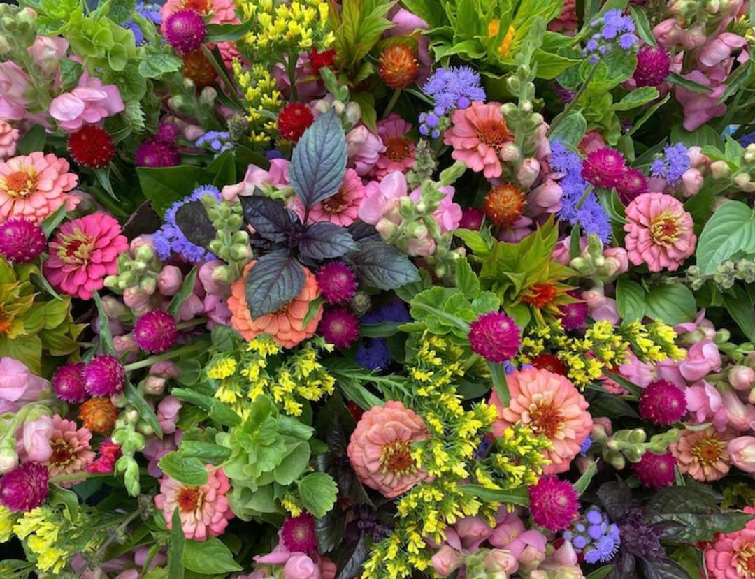 Why We Love Cottagecore Flowers | Petal Talk