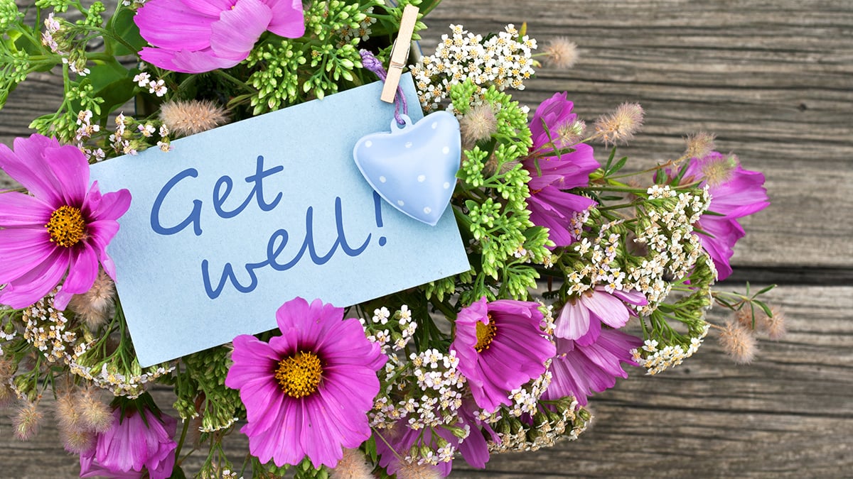 50+ Get Well Soon Messages & Quote Ideas for Cards | Petal Talk