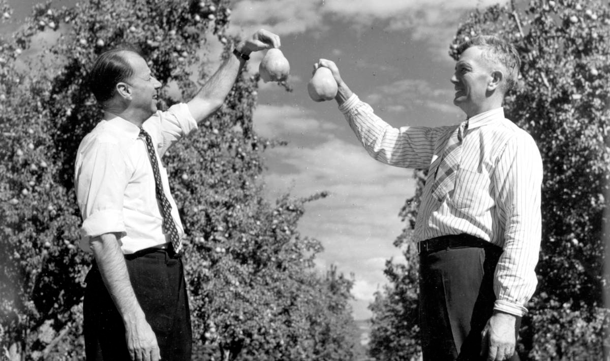 Who Are Harry and David? | The Table by Harry & David