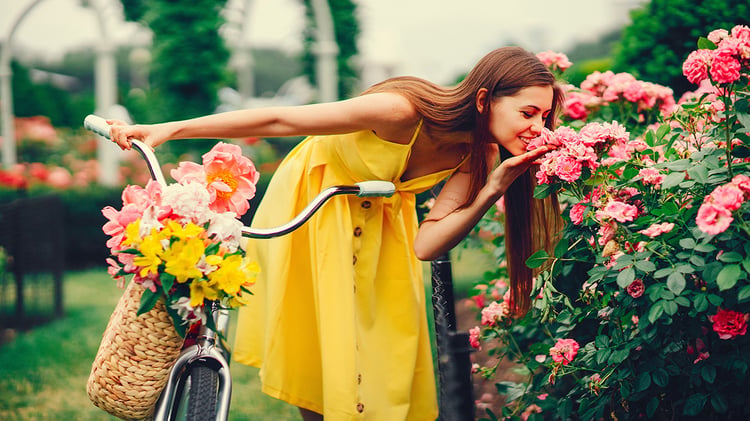 Summer Flowers & Plants: A Guide | Petal Talk