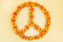 The History of Flower Power | Petal Talk