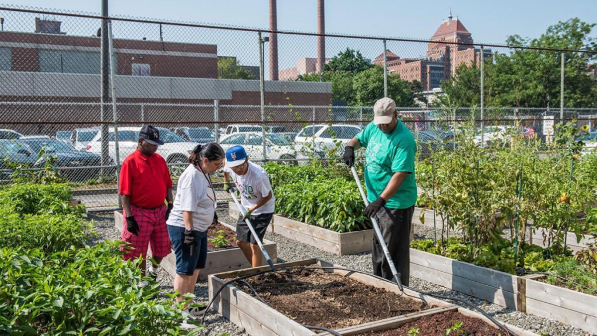 Smile Farms Collection Gift Guide| The Table by Harry & David
