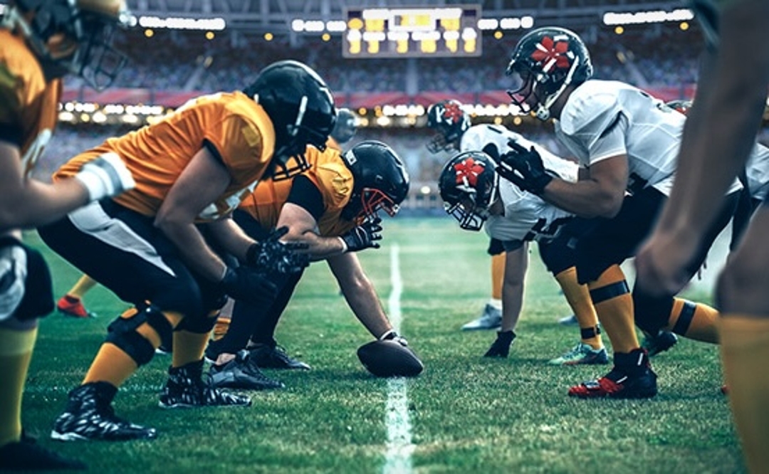 Celebrating Our Favorite Fall Rituals | Celebrations Pulse | Petal Talk