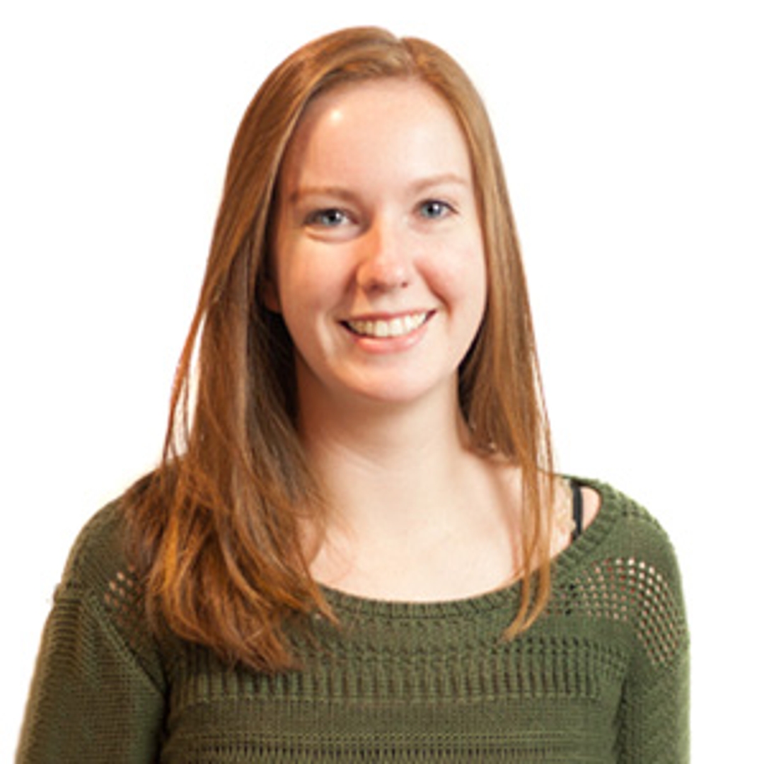 Learn All About Each Tulip Color Meaning | Petal Talk