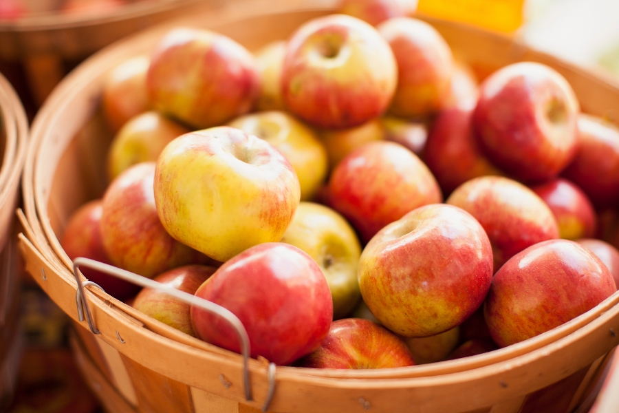 Your Guide to Apples: 7 Types of Apples Explained | Berry Chatty