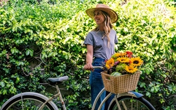 Summer Flowers & Plants: A Guide | Petal Talk