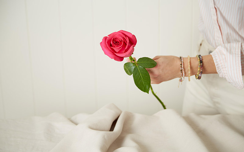 National Rose Month The Meaning Of Rose Colors The Meaning Of Roses: