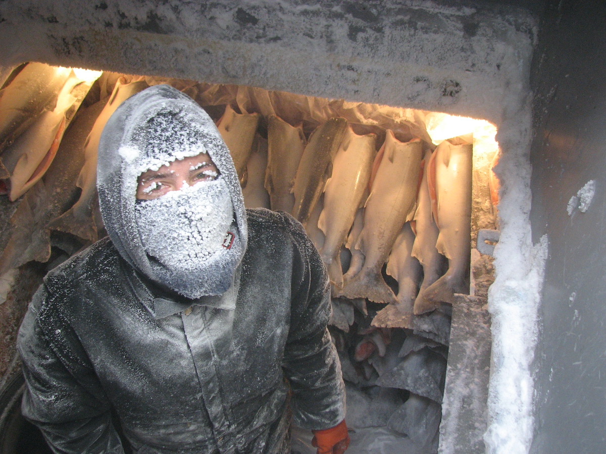 Frozen Fish Is Best | Vital Choice