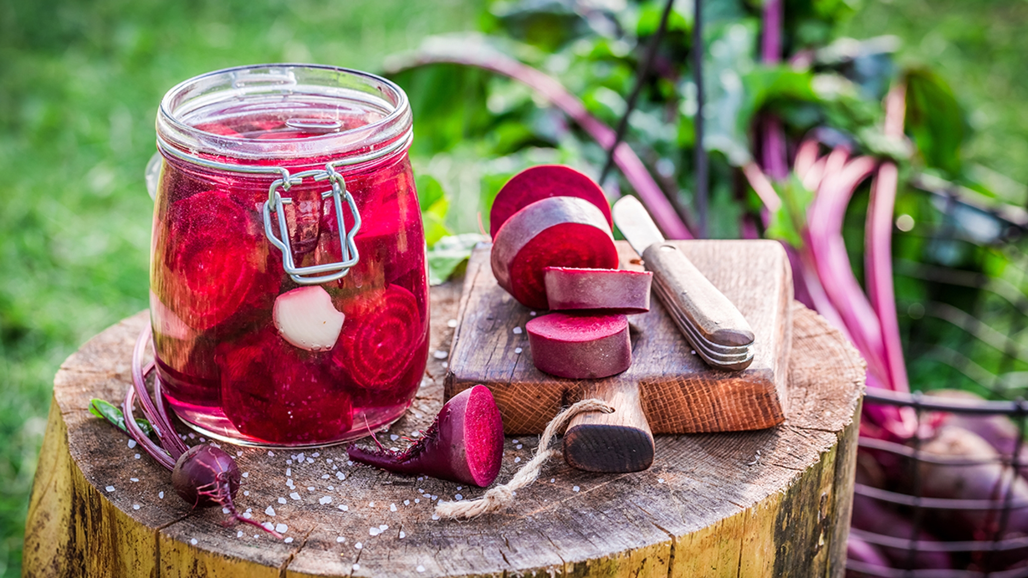 5 Candy Cane Beet Recipes | The Table by Harry & David