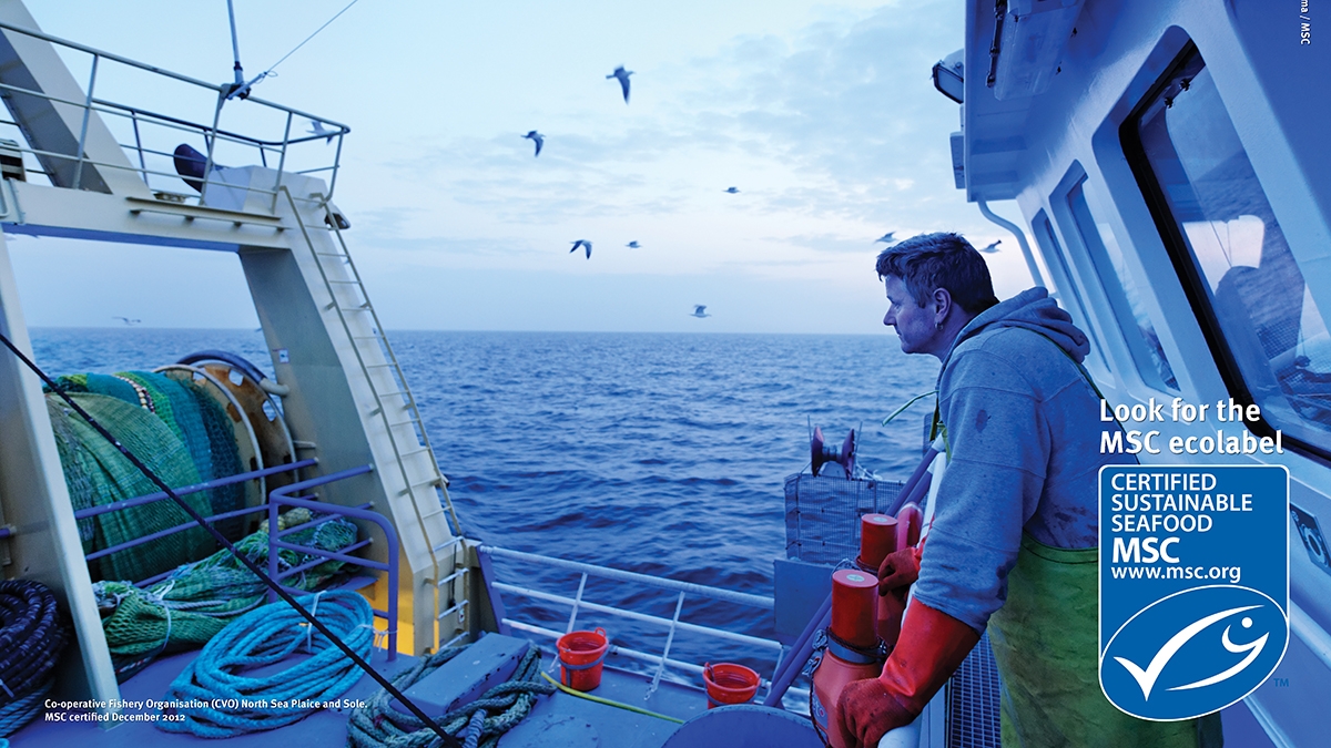What Is the Marine Stewardship Council? | Vital Choice