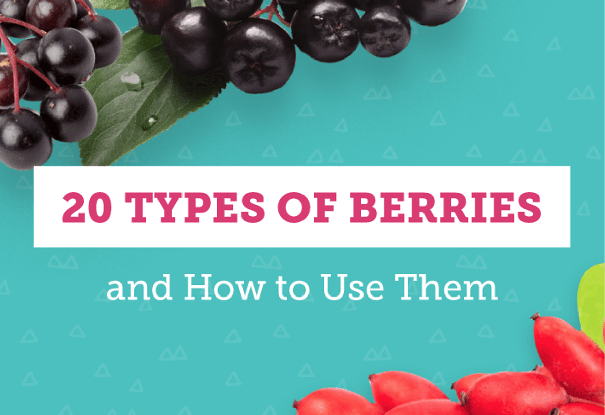 Types of Berries & Ways to Use Them | Shari's Berries