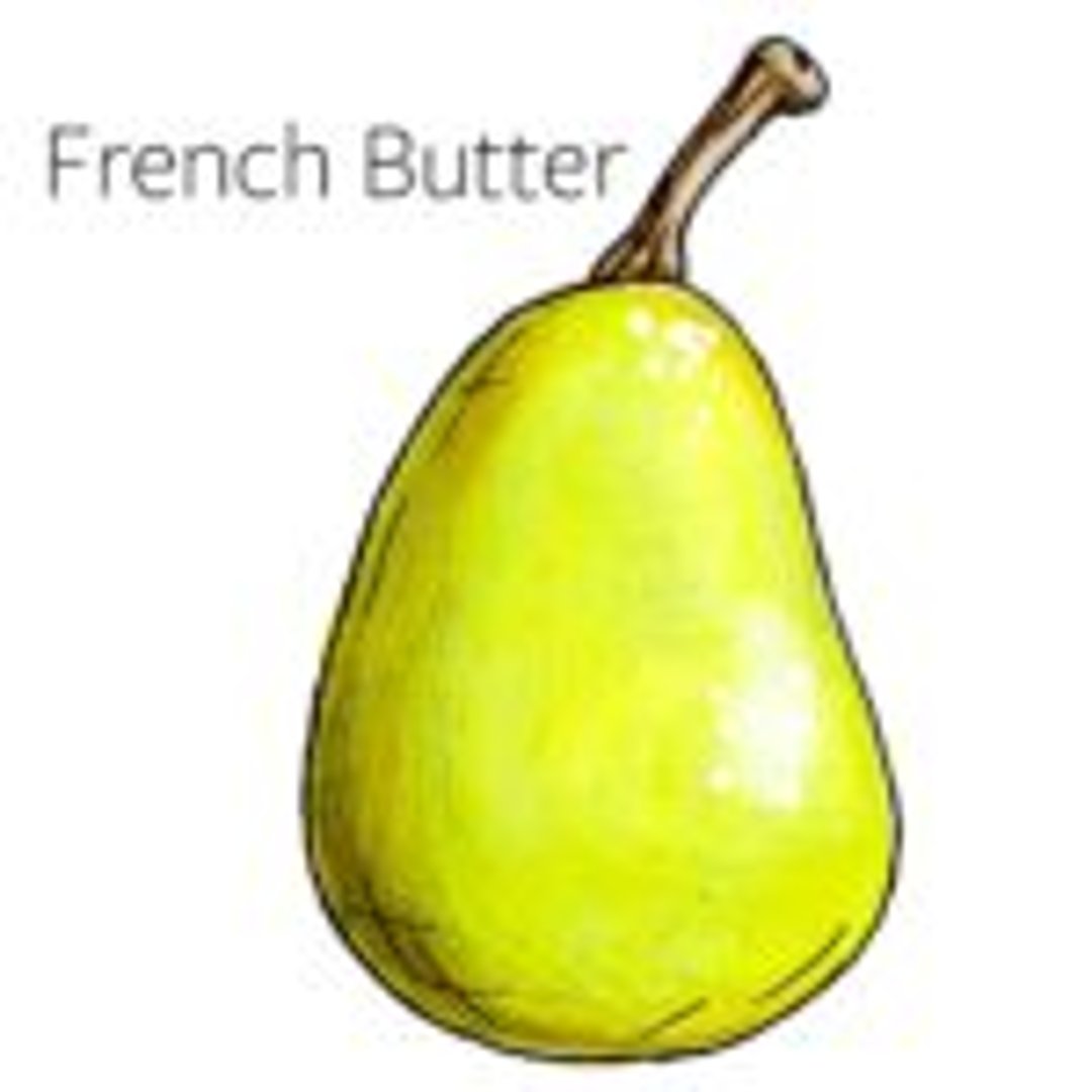 Types of Pears & Other Pear Facts | The Table by Harry & David