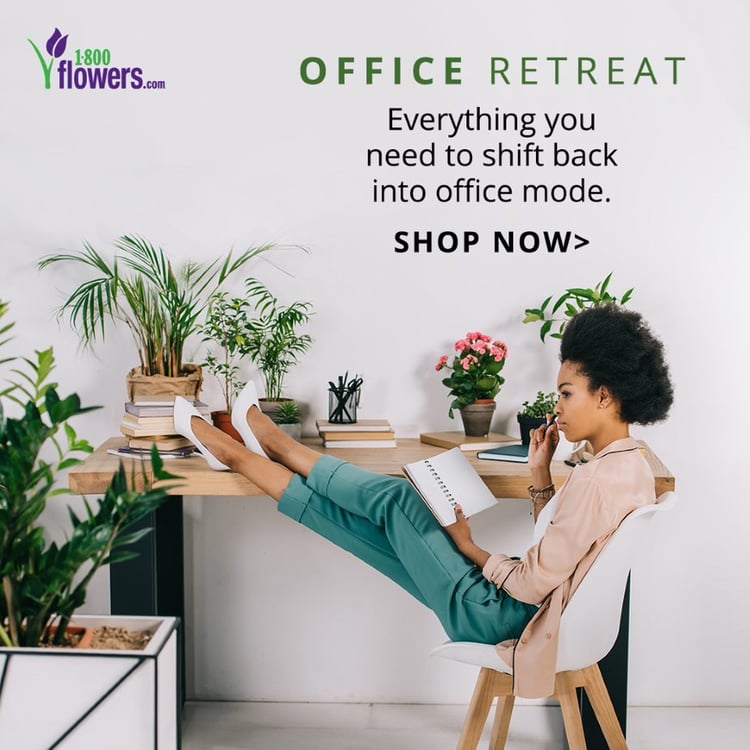 Desk Plants & Office Flowers Benefits | Petal Talk