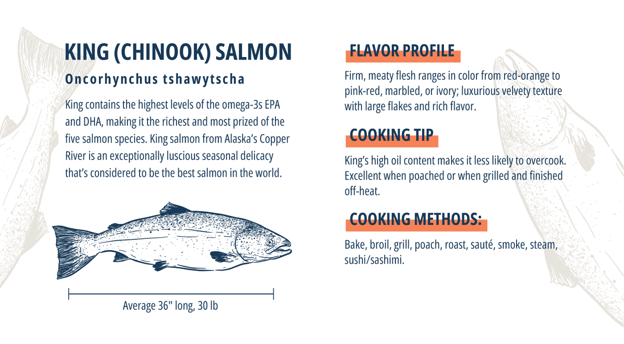 Atlantic Salmon vs Pacific Salmon: What's the Difference? | Vital Choice