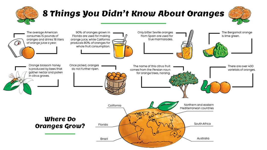 Guide to Oranges | The Table by Harry & David