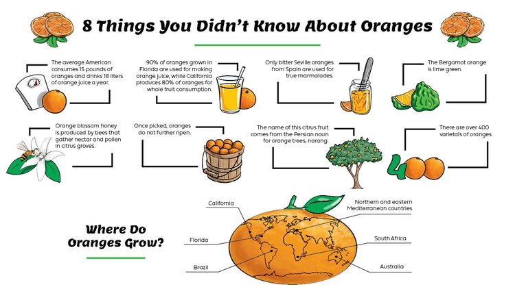 Guide to Oranges | The Table by Harry & David
