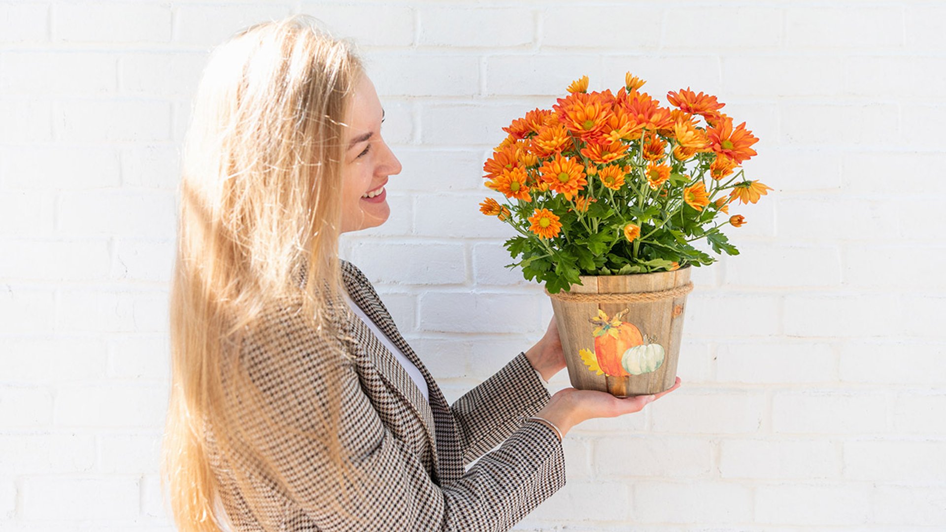 November Birth Flowers Facts & More | Petal Talk