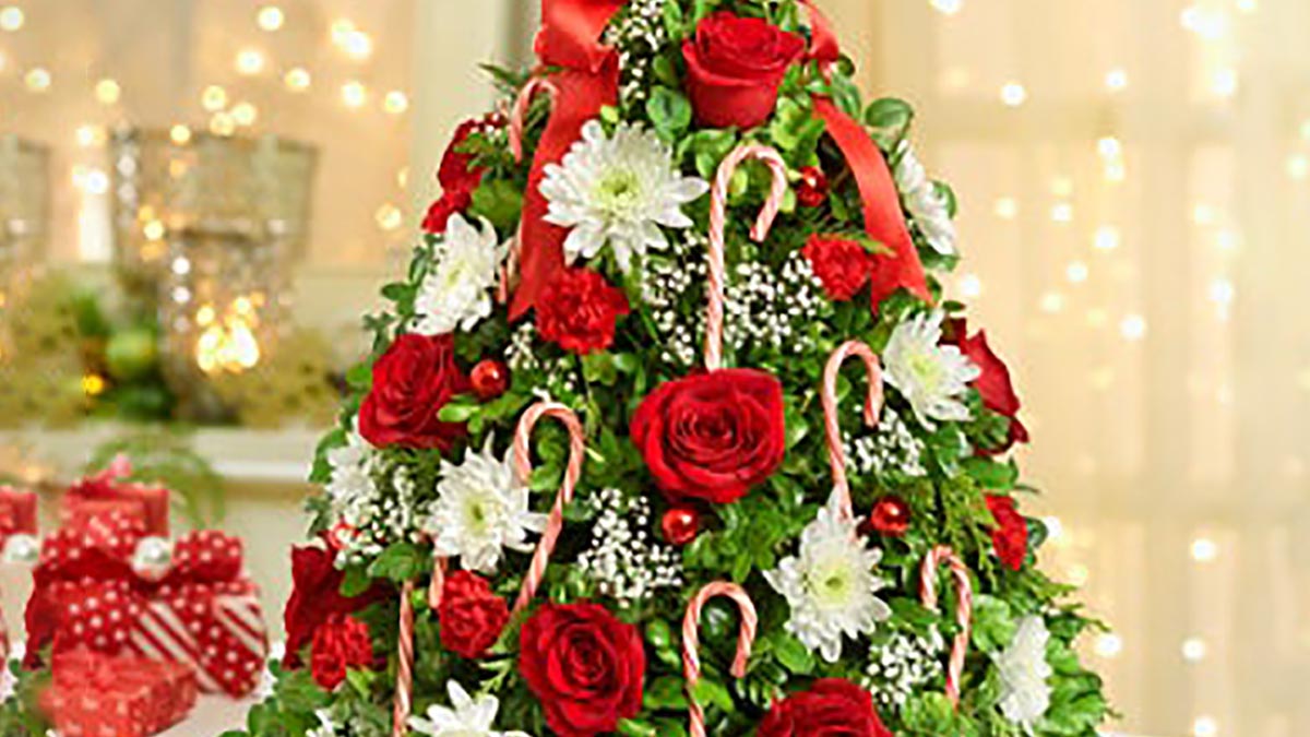 Christmas Tree Care & Tips for Choosing a Tree | Petal Talk