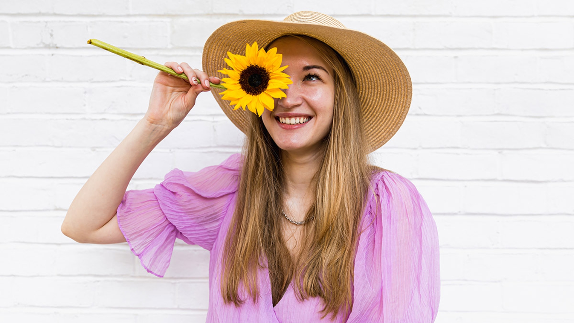 Sunflower Meaning and Symbolism | Petal Talk