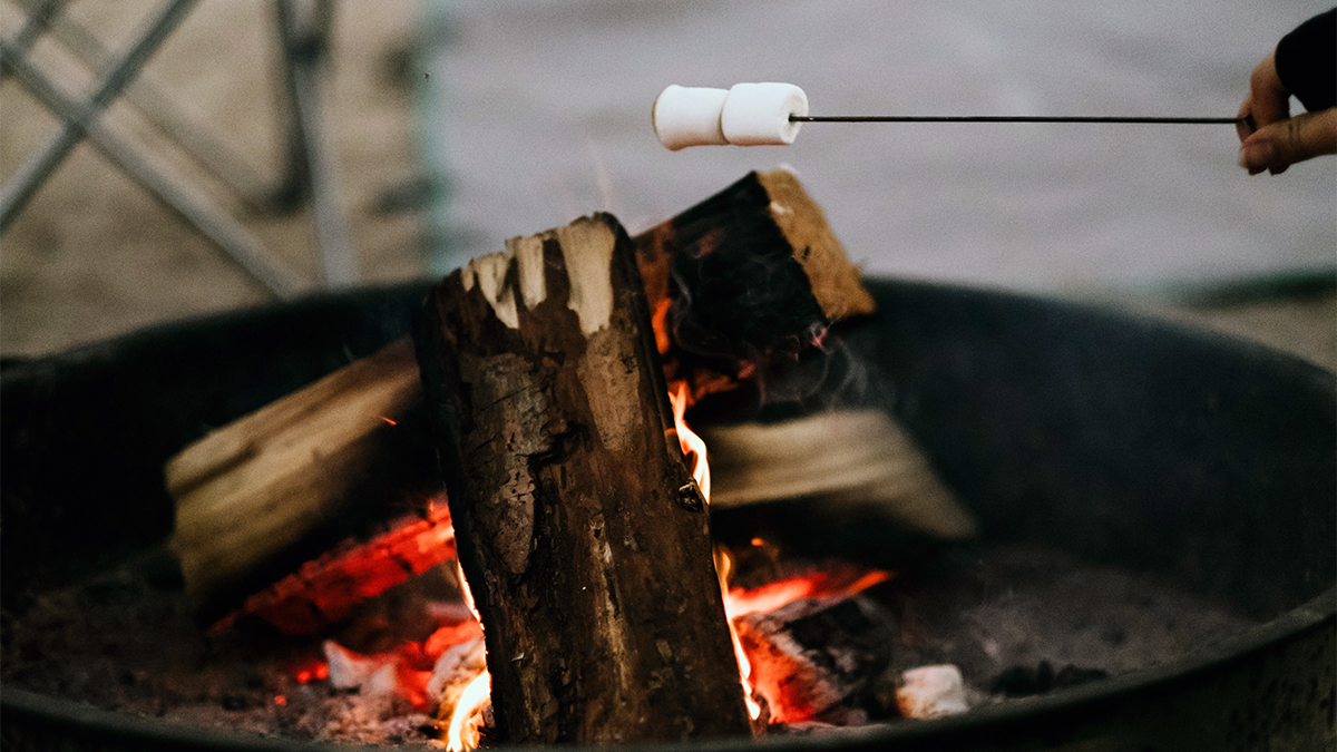 S'more Facts and Recipe Ideas | The Table by Harry & David