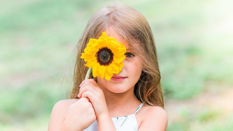 43 Sunflower Quotes to Inspire You | Petal Talk