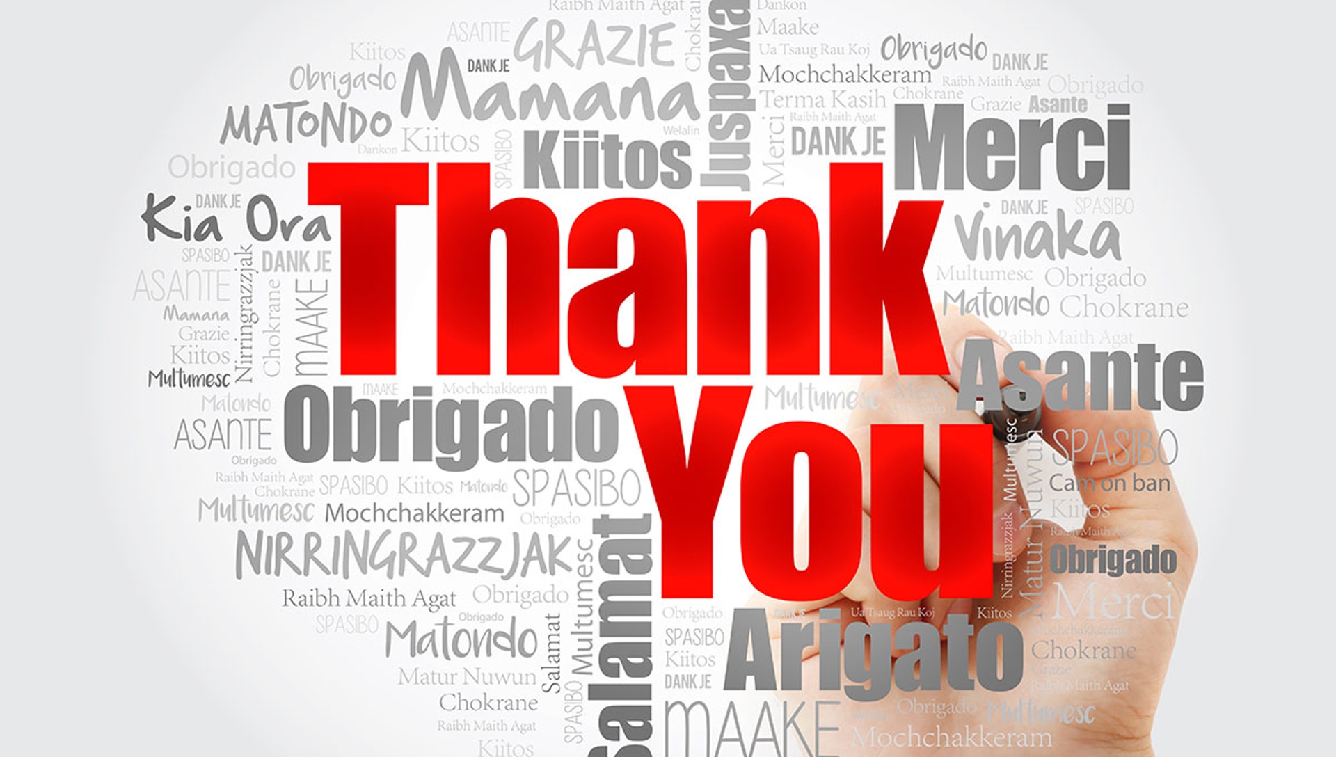 How to Say Thank You in Different Languages | The Table by Harry & David