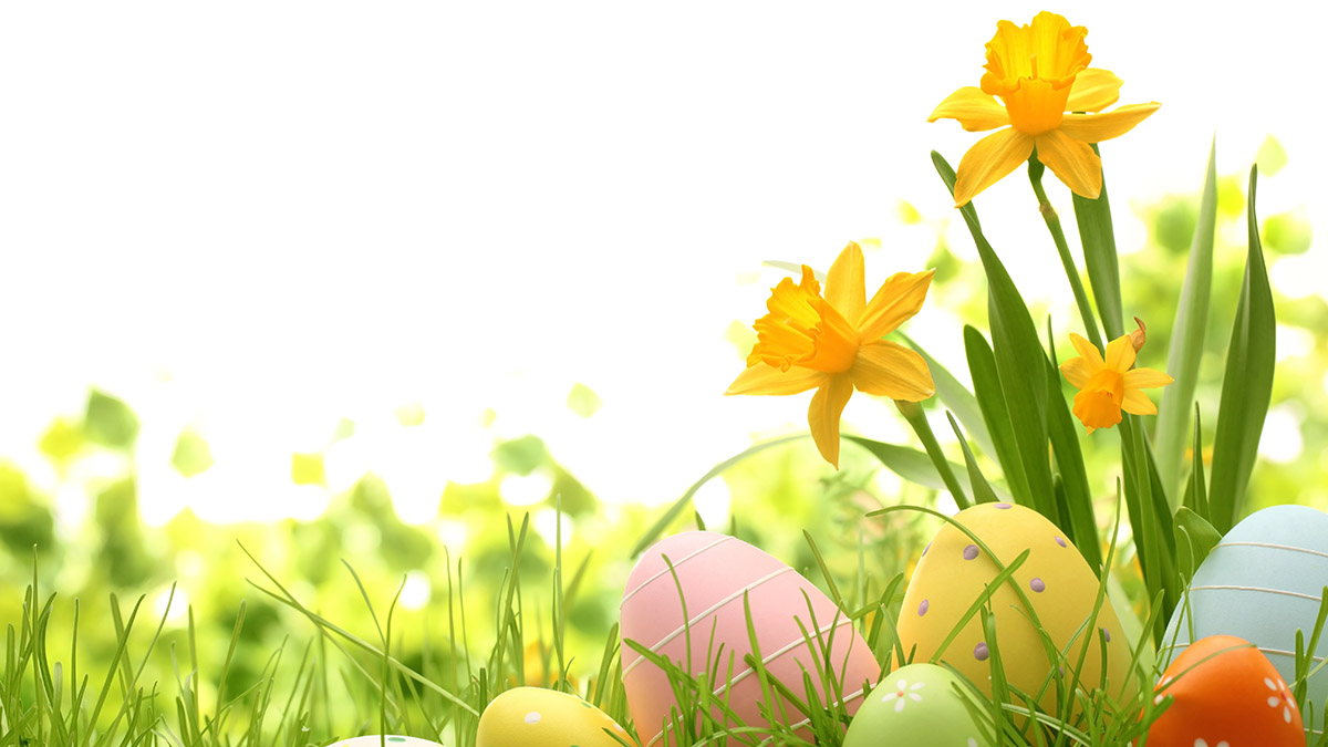 5 Types of Easter Flowers | Petal Talk